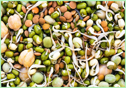 Sprouts - Mix – SriDhivyam